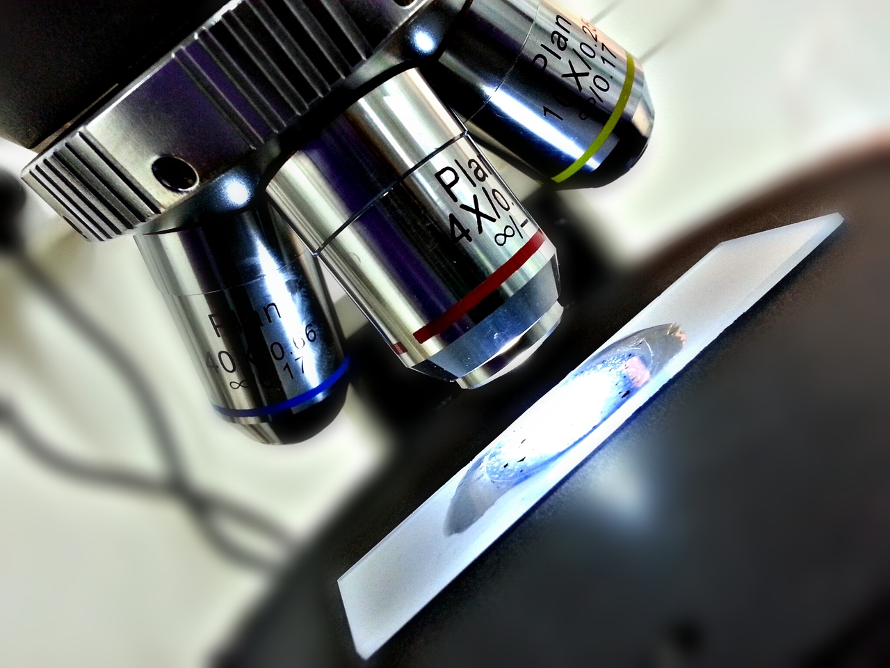 Advanced biomedical research in Padua