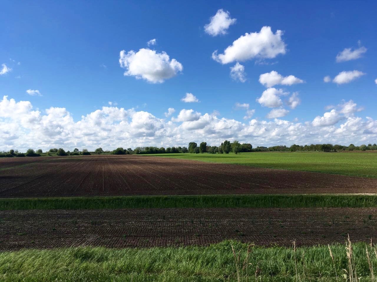 Sehenswertes in Padua, der Stadt der Kultur, der Wissenschaft und des ...