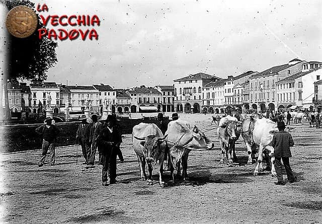 All about the old Padova