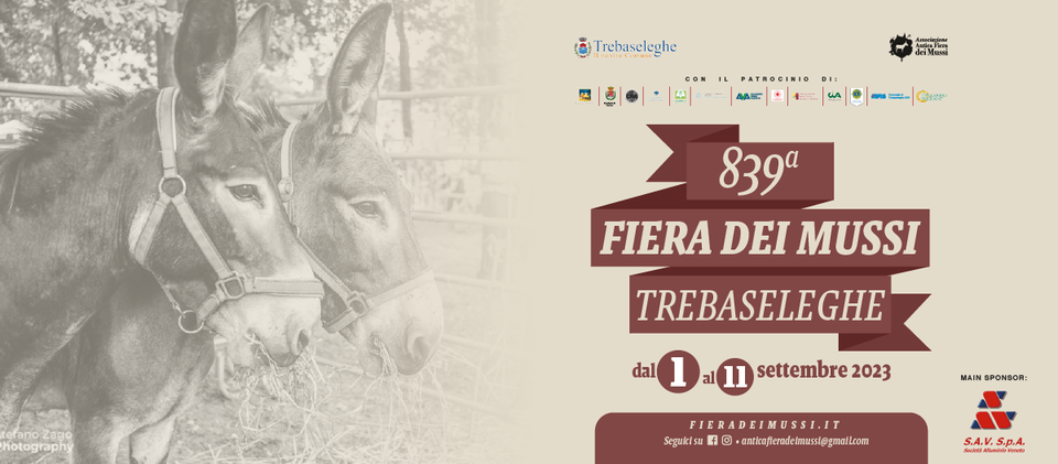 839ª Fiera dei Mussi di Trebaseleghe - Padova