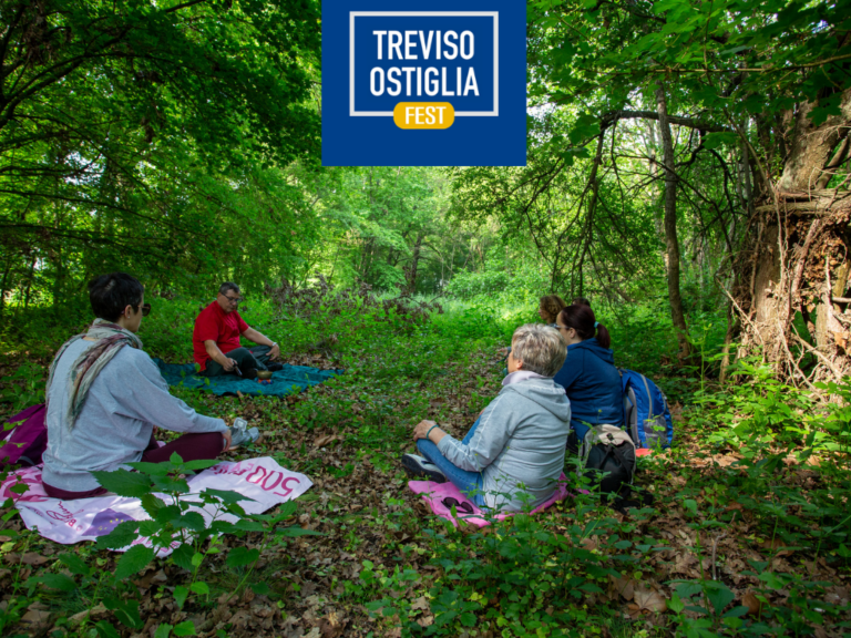 Forest bathing alle sorgenti del Sile - Padova